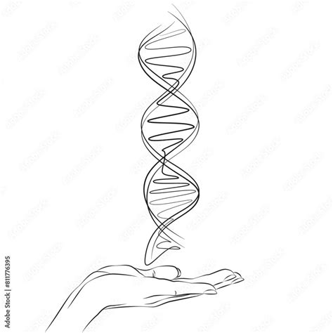 Continuous Line Drawing Of Hand Holding Dna Single One Line Draw Helix Dna Low Poly Wireframe