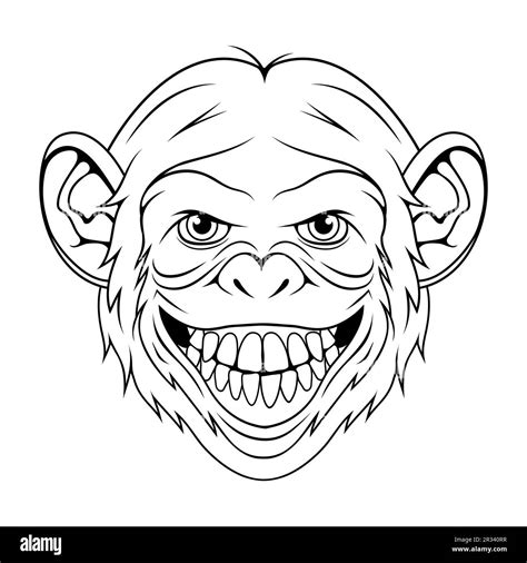 Monkey Drawings Sketching Vector Langur Monkeys Vector Art And Graphics