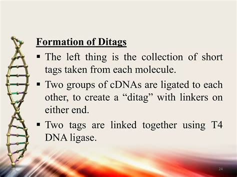 Sage Serial Analysis Of Gene Expression Ppt