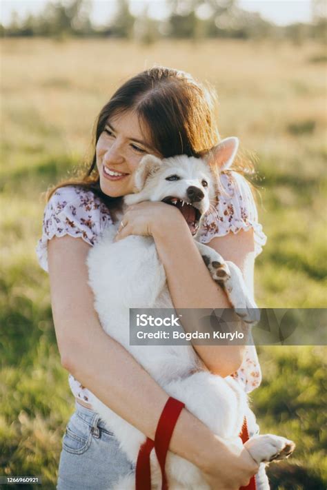 여름 초원에서 따뜻한 일몰 빛에 귀여운 흰색 강아지를 껴안고 세련된 젊은 여자 장난 푹신한 강아지를 들고 행복한 소녀 아름다운 재미있는 순간 입양 개념 가축에 대한 스톡
