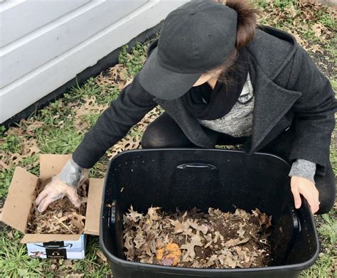 Building And Maintaining A Simple Worm Bin Journey Down The Road