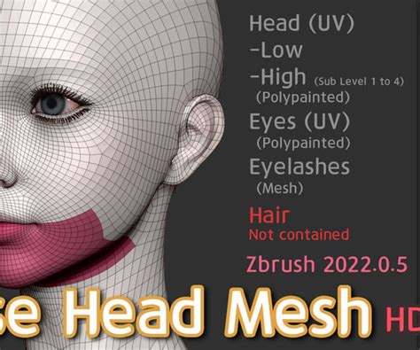 Artstation Head Base Mesh Hd Resources