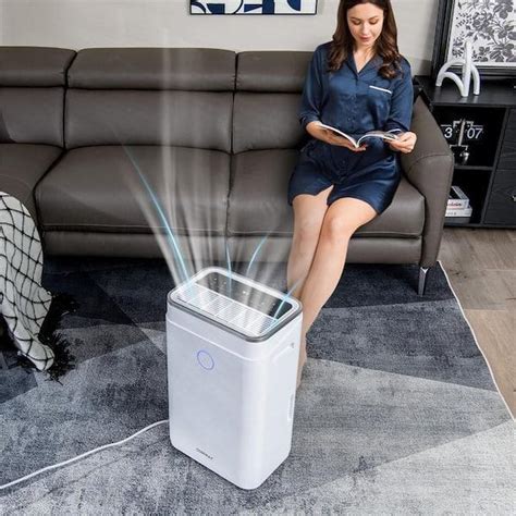 Whats The Difference Between A Dehumidifier And A Humidifier All