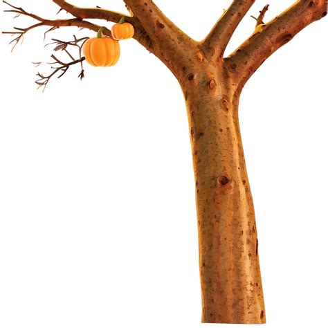 Tree Branch Png Images 300