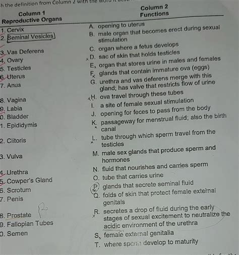 Solved Ch The Definition From Column 2 With The Column 1 Chegg Com