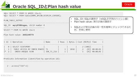 Dbts2024 「sql実行計画 主要rdbms製品の比較oracle Mysql Postgresql」内容紹介＋資料／動画