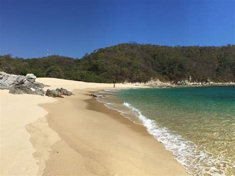 Playa El Tejoncito Huatulco Life