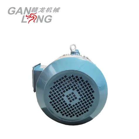 High Temperature Ac Electric Three Phase Low Rpm Speed Control Induction Electric Vibrating