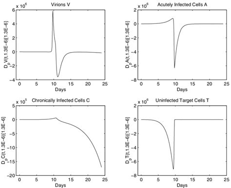 simulation of semirelative sensitivity solution with respect to the