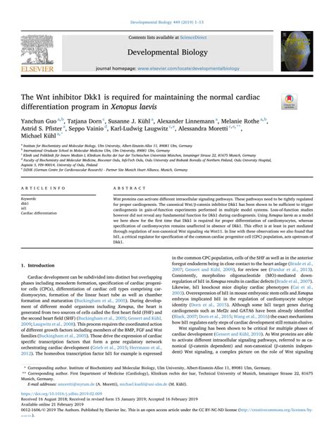 Pdf The Wnt Inhibitor Dkk1 Is Required For Maintaining The Normal