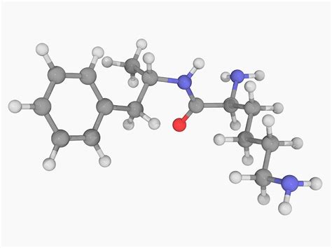 Lisdexamfetamine Drug Molecule Photograph By Laguna Design Science