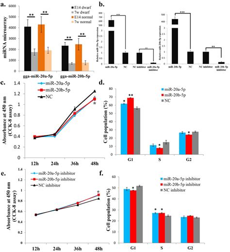 Mir 20a 5p And Mir 20b 5p Repress Myoblast Proliferation A The Mirna