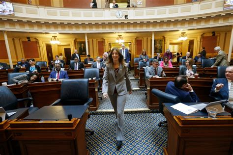 Opinion Virginia Must Pass The Redistricting Amendment Now The