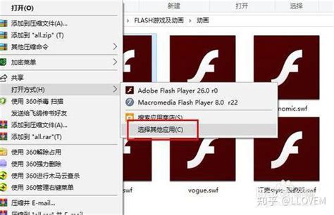 电脑上如何播放swf文件 知乎
