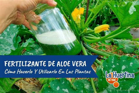 Details 48 fertilizantes caseros para árboles frutales Abzlocal mx