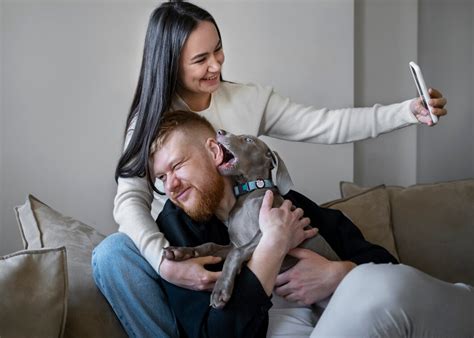 Cómo Encontrar A Tu Compañero Ideal Consejos Para Elegir La Mascota