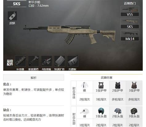 和平精英伤害最强的不是awm？热狗：在它面前就是玩具枪 搜狐大视野 搜狐新闻