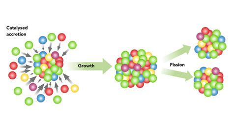 From Lipids To Life Cracking The Puzzle About The Origin Of Life