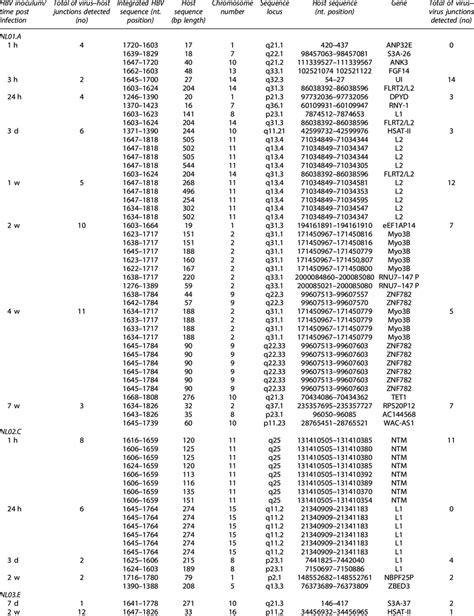 Hbv Human Genome Junctions Identified After De Novo Infection