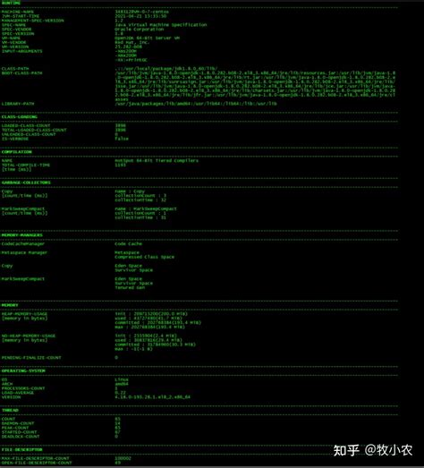 【死磕jvm】用arthas排查jvm内存 真爽！我从小用到大 知乎