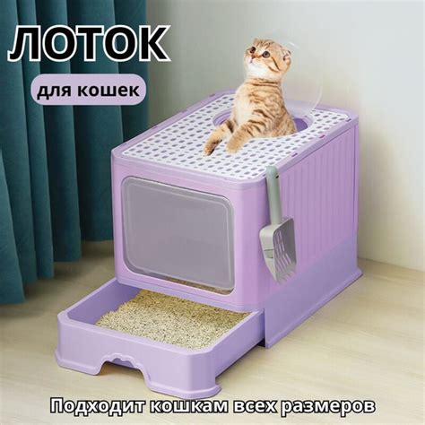 Туалет для кошек большой закрытый/ Лоток для кошек закрытый большой с ...