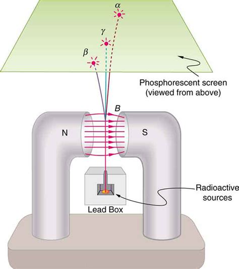 141 Nuclear Radioactivity Douglas College Physics 1207