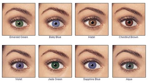 Question Corner Do Genes Determine Our Eye Colour The Hindu