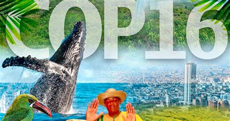 ¿qué Es La Cop16 Por Qué Es Tan Importante Para Colombia Pc