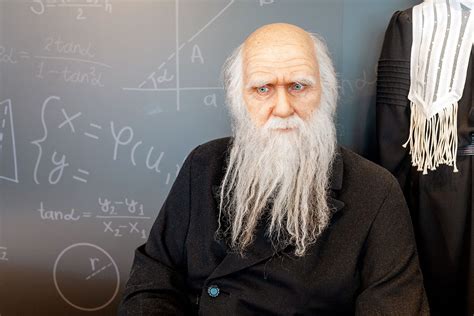 Dmitri Mendeleev Glossary Developing Experts