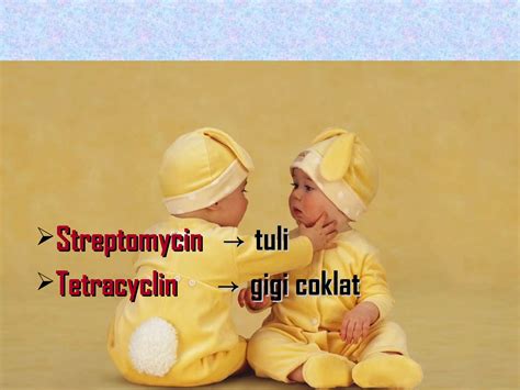Anc Berkualitas Ppt