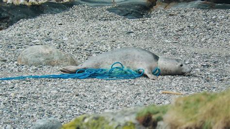 플라스틱 파도 2022 왓챠피디아