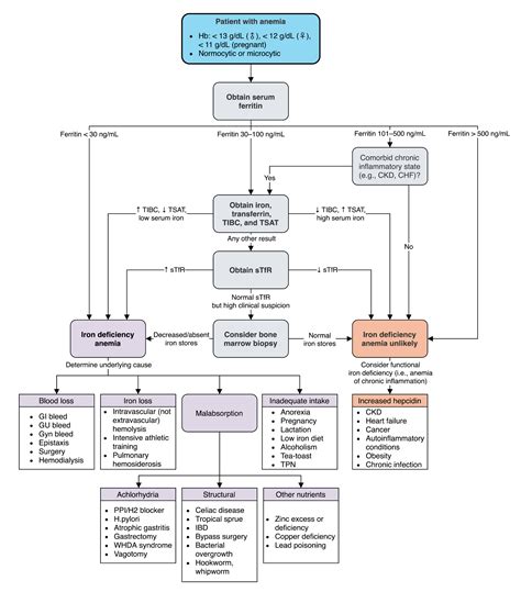 Anemia Of Chronic Disease Algorithm