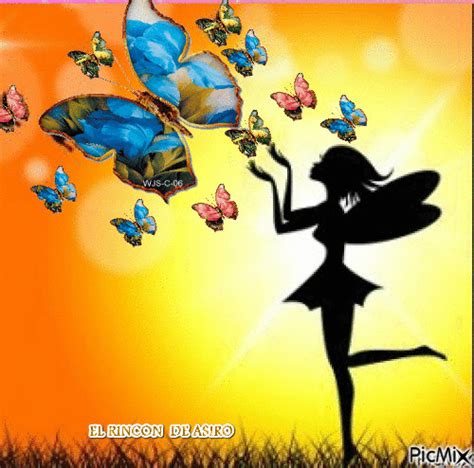 Mariposas Animado Gratis Picmix