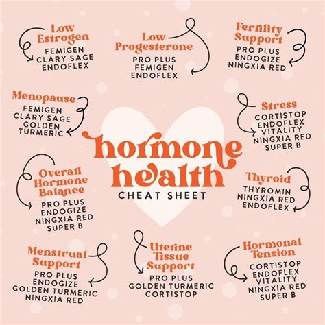 Healthy Hormone Cheat Sheet Oestrogen Healthy Hormones Low Estrogen