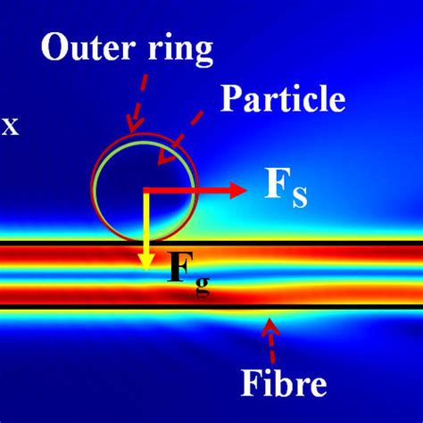 Field Distribution Of Lp01 And The Lp11 Mode Set A B Numerical Mode Download Scientific