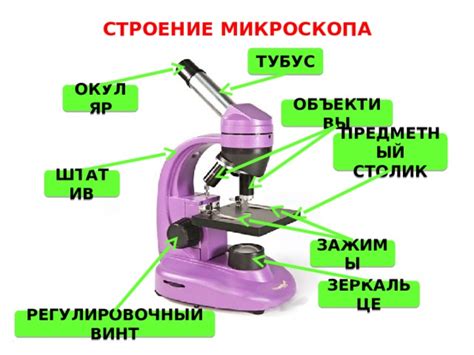 Увеличительные приборы (параграф 4)