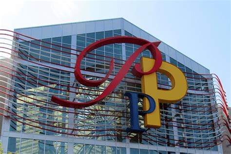 They Said Yes Voters Give Green Light To Palisades Center To Expand