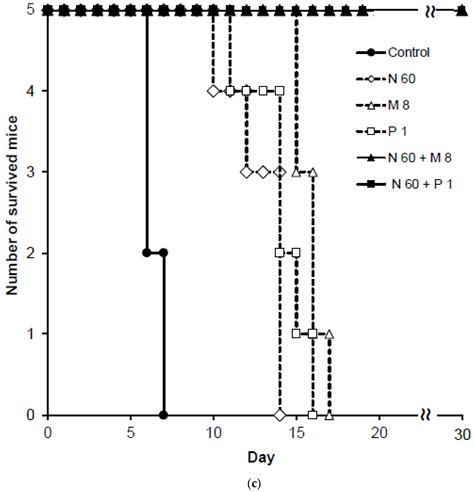 Pioneer Use Of Antimalarial Transdermal Combination Therapy In Rodent Malaria Model
