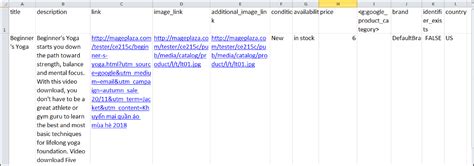 How To Set Up Magento Google Shopping Feed