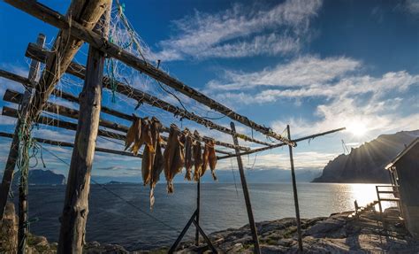 Greenlandic food - drinking and eating in Greenland | Greenland, Inuit ...