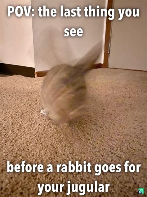 Run Away Meme