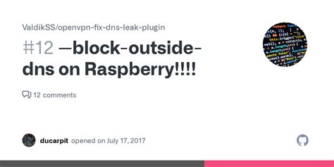 Block Outside Dns On Raspberry Issue ValdikSS Openvpn Fix Dns Leak Plugin GitHub