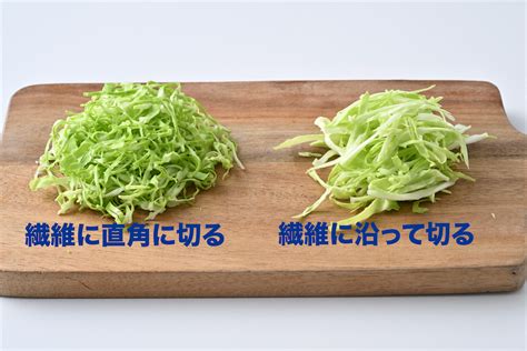 【キャベツの切り方検証】千切りの方向で食感が変わるふんわりとシャキシャキ、両方試してみた！【比較実験】 『あたらしい日日』 こんな時代