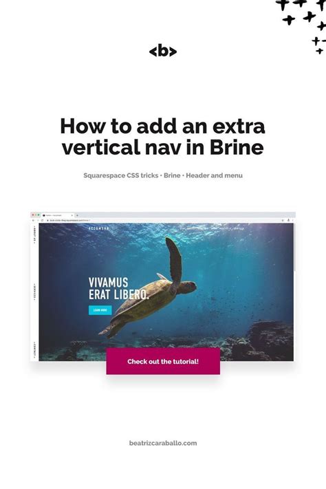 How To Have An Additional Vertical Nav In Brine Without Writing Html