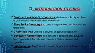 Fungal Classification PPT