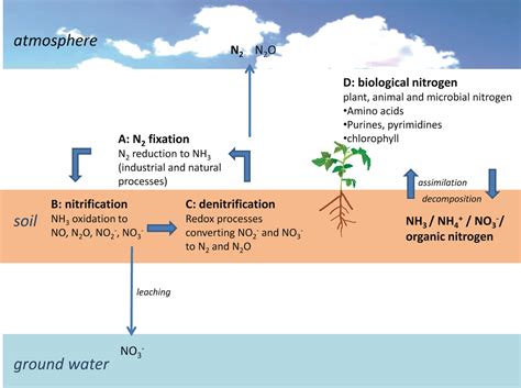 Nitrification