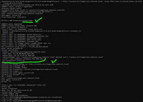 Proxy Configuration In Privilege Cloud