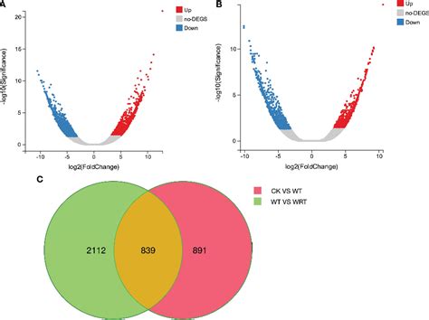 Figure 1 From Pacbio Full Length Sequencing Integrated With Rna Seq Reveals The Molecular