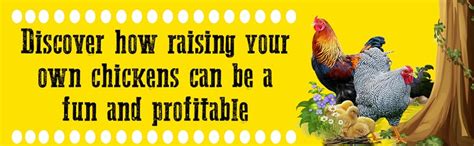 Raising Chickens For Beginners The Complete Crash Course On Raising Your Own Healthy Backyard