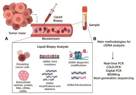 Biomarkers In Cancer Detection Diagnosis And Prognosis Pmc